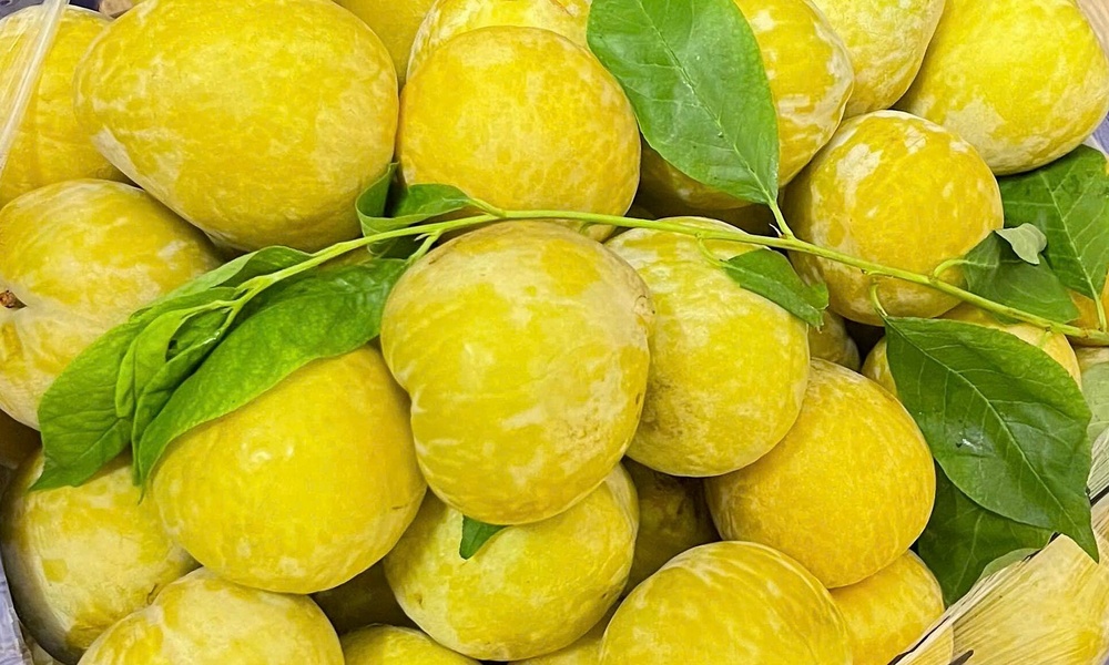 Mận cau Trung Quốc giá 450 nghìn/kg, giờ rớt giá không ai ngờ